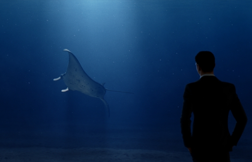 Water-Themed Video Wall Masterpiece by Brandspace (formerly 3 Little ...